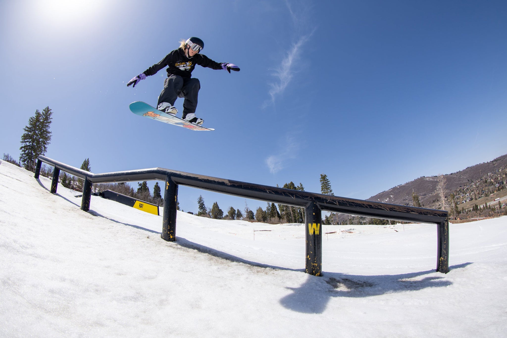 Snowboards Freestyle / Park